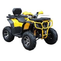 China 250CC Gasoline ATV Quad Bike Buggy UTV 200CC Off-Road Motorcycle with Powerful Engine for sale