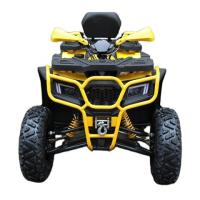 China 250CC Gasoline ATV Quad Bike Buggy UTV 200CC Off-Road Motorcycle with Powerful Engine for sale