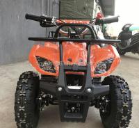 China Little Bull 500W 36V Electric ATV for Children's Rental on Off-Road Safari Adventure for sale