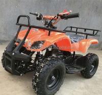 China Little Bull 500W 36V Electric ATV for Children's Rental on Off-Road Safari Adventure for sale