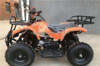 China Little Bull 500W 36V Electric ATV for Children's Rental on Off-Road Safari Adventure for sale