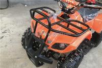 China Little Bull 500W 36V Electric ATV for Children's Rental on Off-Road Safari Adventure for sale