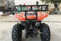 China Little Bull 500W 36V Electric ATV for Children's Rental on Off-Road Safari Adventure for sale