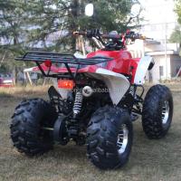 China Customizable 125cc Adult All-Terrain Off-Road Vehicle with Natural Air-Cooled Engine for sale