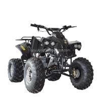 China 1000w Electric ATV with Shaft Transmission and Front Drum Rear Drum Brake System for sale