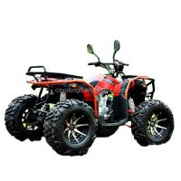 China Customize Your Ride Big Bull 300cc 4*4 Adult Off-Road ATV with 300mm Ground Clearance for sale