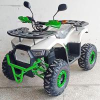 China Experience the Power of Our 1000W Electric ATV 4 Wheel All Terrain Vehicle for Adults for sale