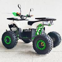 China Experience the Power of Our 1000W Electric ATV 4 Wheel All Terrain Vehicle for Adults for sale