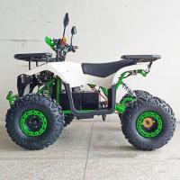 China Experience the Power of Our 1000W Electric ATV 4 Wheel All Terrain Vehicle for Adults for sale