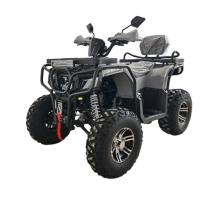 China Front Disc Rear Disc Brake 150CC 200CC 250CC ATV Quad Bike for Off-Road Adventures for sale