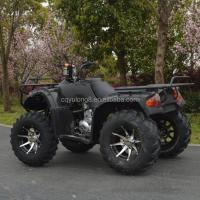China 250cc Four-Stroke Four-Wheel Off-Road ATV with Chain Drive and Customization Features for sale
