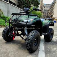 China 250cc Four-Stroke Four-Wheel Off-Road ATV with Chain Drive and Customization Features for sale
