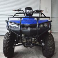 China Electric ATV for Adults 2 Seat Mountaineer 200cc 250cc 150cc All Terrain Vehicle for sale