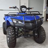 China Electric ATV for Adults 2 Seat Mountaineer 200cc 250cc 150cc All Terrain Vehicle for sale