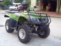 China Electric ATV for Adults 2 Seat Mountaineer 200cc 250cc 150cc All Terrain Vehicle for sale