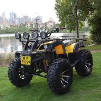 China Powerful Electric ATV for Adults Chain Drive 18V Voltage Automatic Transmission for sale