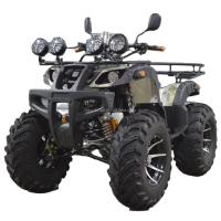 China 300kg Grade Ability 250cc Off Road 4 Wheel Motorcycle ATV for Off-Road Excursions for sale