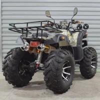 China 300kg Grade Ability 250cc Off Road 4 Wheel Motorcycle ATV for Off-Road Excursions for sale