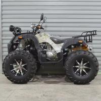 China 300kg Grade Ability 250cc Off Road 4 Wheel Motorcycle ATV for Off-Road Excursions for sale