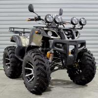 China 300kg Grade Ability 250cc Off Road 4 Wheel Motorcycle ATV for Off-Road Excursions for sale