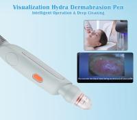 China 2024 Newest Visual Blackhead Removal Acne Removal Deep Facial Cleansing Skin Scrubber Hydra Beauty Machine for sale