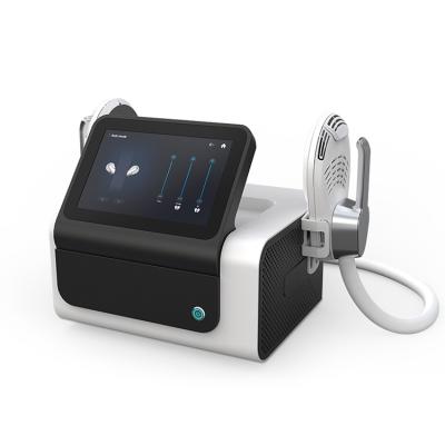 China Portable 2 Handles Skin Firming Emssing Body-sculpting Machine for sale