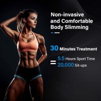 China Portable 2 Handles Skin Firming Emssing Body-sculpting Machine for sale