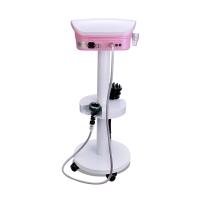 China 2024 2 in 1 pink G8 Vibration Body Massage Vacuum Heating Slimming Machine with Stand for sale