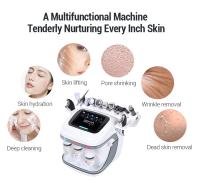 China Portable Hyro H2o2 Small Bubble Hydra Aqua Peel Facial Machine 10 in 1 for sale