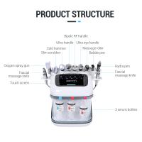 China Portable Hyro H2o2 Small Bubble Hydra Aqua Peel Facial Machine 10 in 1 for sale