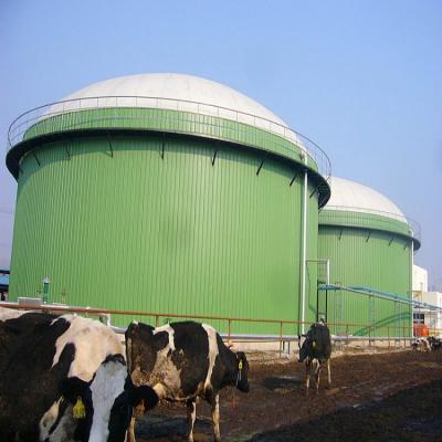 China UV Resistance Double Membrane Biogas Holder Customized Capacity for sale