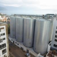 China Flat Bottom Or Hopper Bottom Spiral Steel Silo Galvanized Steel Silo For Grain Storage for sale