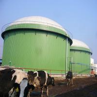 China 1500m3 Roof Top Dual Membrane Biogas Holder Balloon for Biogas Storage for sale