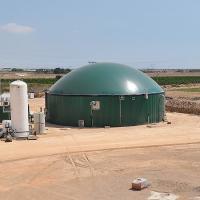 China UV resistant Dual Membrane Bio Gas Balloon Mounted On Digester For Wastewater Treatment for sale