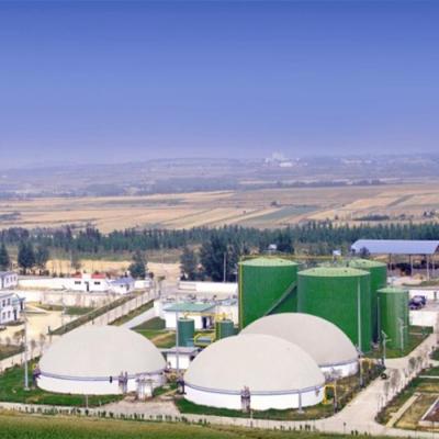 China Weather Resistant Biogas Gas Holder Digester Mounted Double Membrane for sale