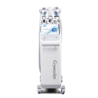China 360° Cryolipolysis Fat Freezing CoolSculpting Body Slimming Weight Loss Machine for sale