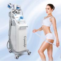 China 360° Cryolipolysis Fat Freezing CoolSculpting Body Slimming Weight Loss Machine for sale