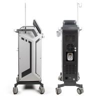 China Safe and Effective Tattoo Removal for All Skin Types Q-Switched Nd Yag Laser Tattoo Removal Machine for sale