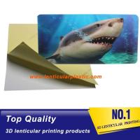 China High Definition Lenticular 3D Card Printing Custom Printing 3D Depth Effect Lenticular Sheet 3D Lenticular Poster for sale