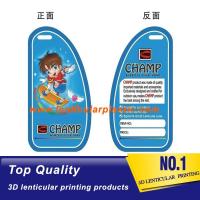 China High Definition Lenticular 3D Card Printing Custom Printing 3D Depth Effect Lenticular Sheet 3D Lenticular Poster for sale