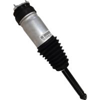 China Tesla Model S 2016-2019 Rear Air Spring Strut Shock Absorber RWD 1067466-00-C 102746100G for sale