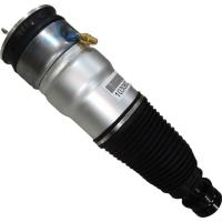 China Front Air Shock Absorber Strut For Tesla Model S 2012-2015 AWD 1030608-00C A15A0054201 for sale