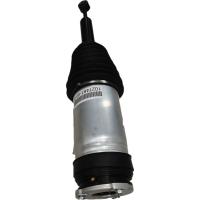 China W309255002 Rear Air Suspension Spring Shock Absorber 1027461-00-G For Tesla Model X AWD El 90D L2S for sale