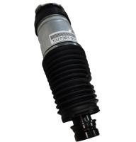 China Single Cylinder Tesla Shock Absorbers For Model X 15-19 1027361-00-E Rear Air Suspensnion Kits for sale