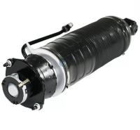 China R230 Rear LH RH Hydropneumatic ABC Shock Absorber For Mercedes SL Class 2303200013 for sale