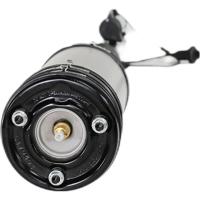China 2203205013 Mercedes Benz Air Suspension Struts Rear S55 S280 S320 S350 S420 S430 S500 S600 W220 for sale