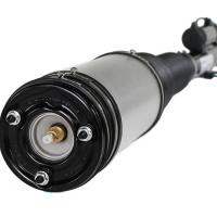 China Rear For Mercedes W220 S320 S350 S400 S430 S500 S600 Suspension 2203205013 2203202338 2203207813 Air Suspension Shock Absorber for sale