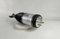 China TS16949 4877146ac Front Air Ride System Strut Assembly Dodge RAM 1500 2013-2018 for sale