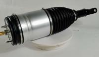 China TS16949 4877146ac Front Air Ride System Strut Assembly Dodge RAM 1500 2013-2018 for sale