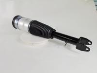 China Car Air Ride Suspension Shocks And Struts 6006351 600640300A for sale